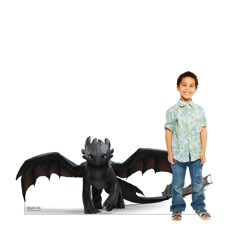 How to Train Your Dragon Live Action Toothless Standee