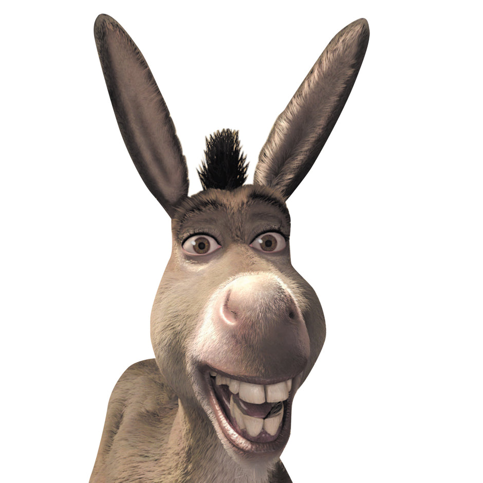 Shrek - Peacock – NBC Store