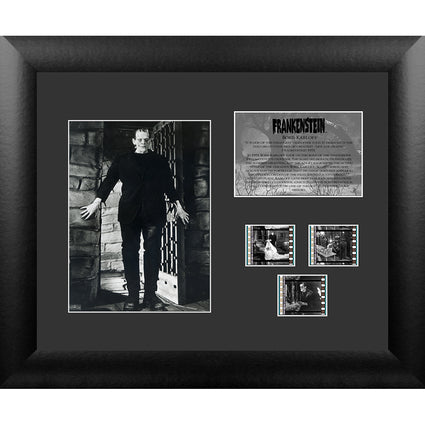 Frankenstein – NBC Store